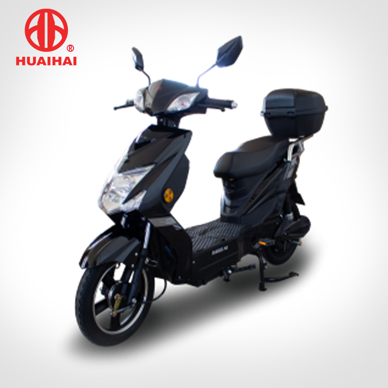 China New Model Adults Electric Bike with 248w Motor factory and ...